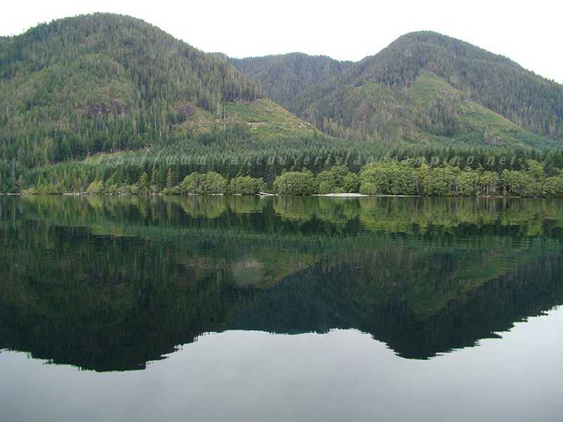The Tranquility of Vernon Lake Recreation Campgrounds